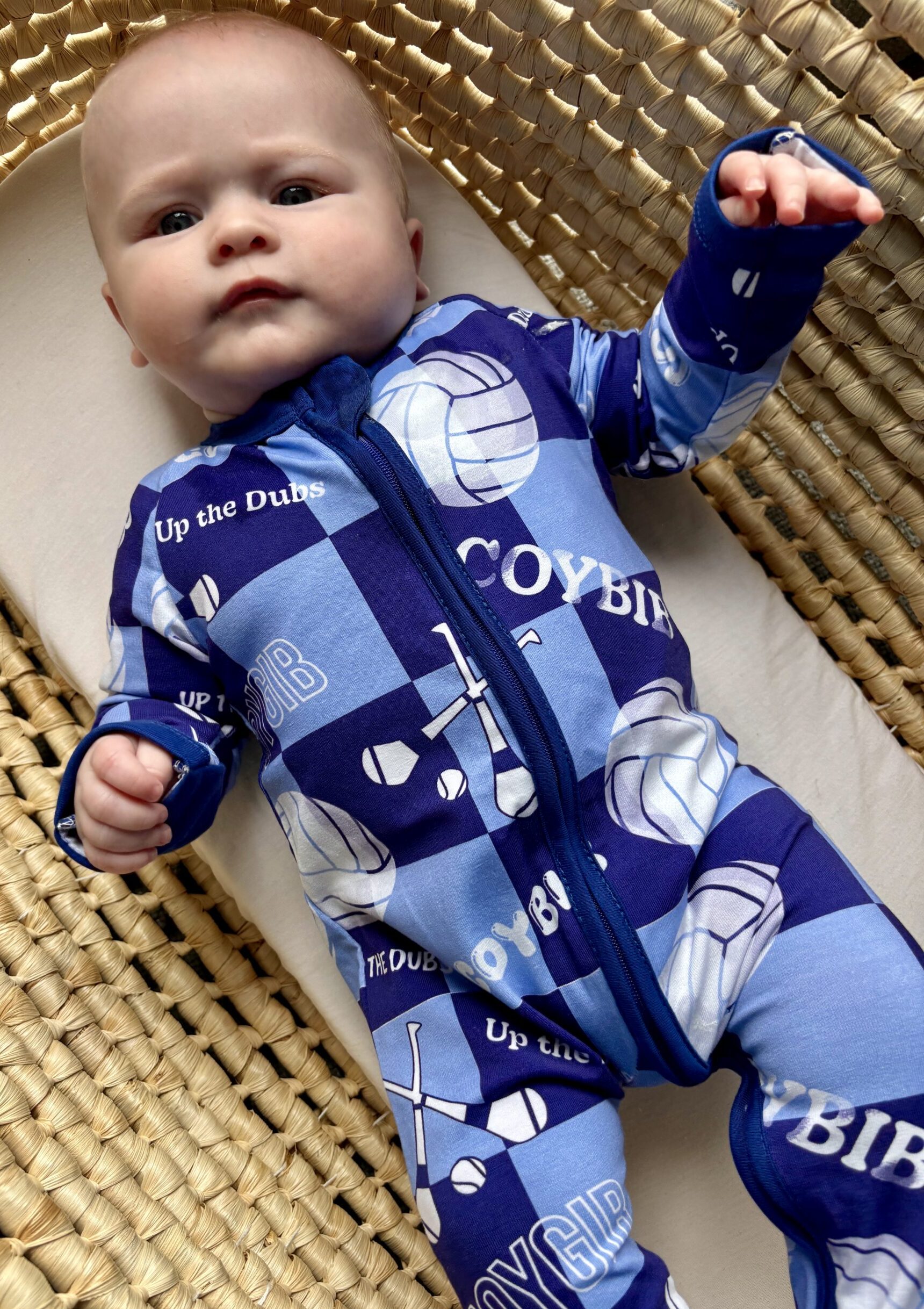 Irelands Call - Up The Dubs - The Little One