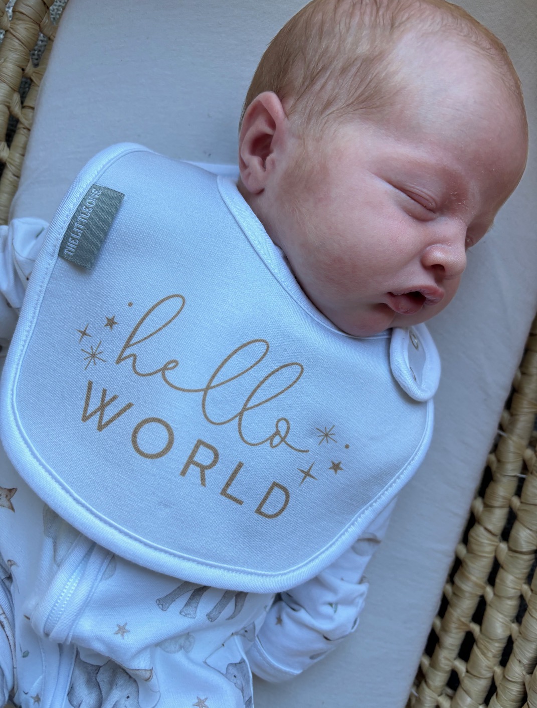 Round Bib | Hello World (Gold) - The Little One
