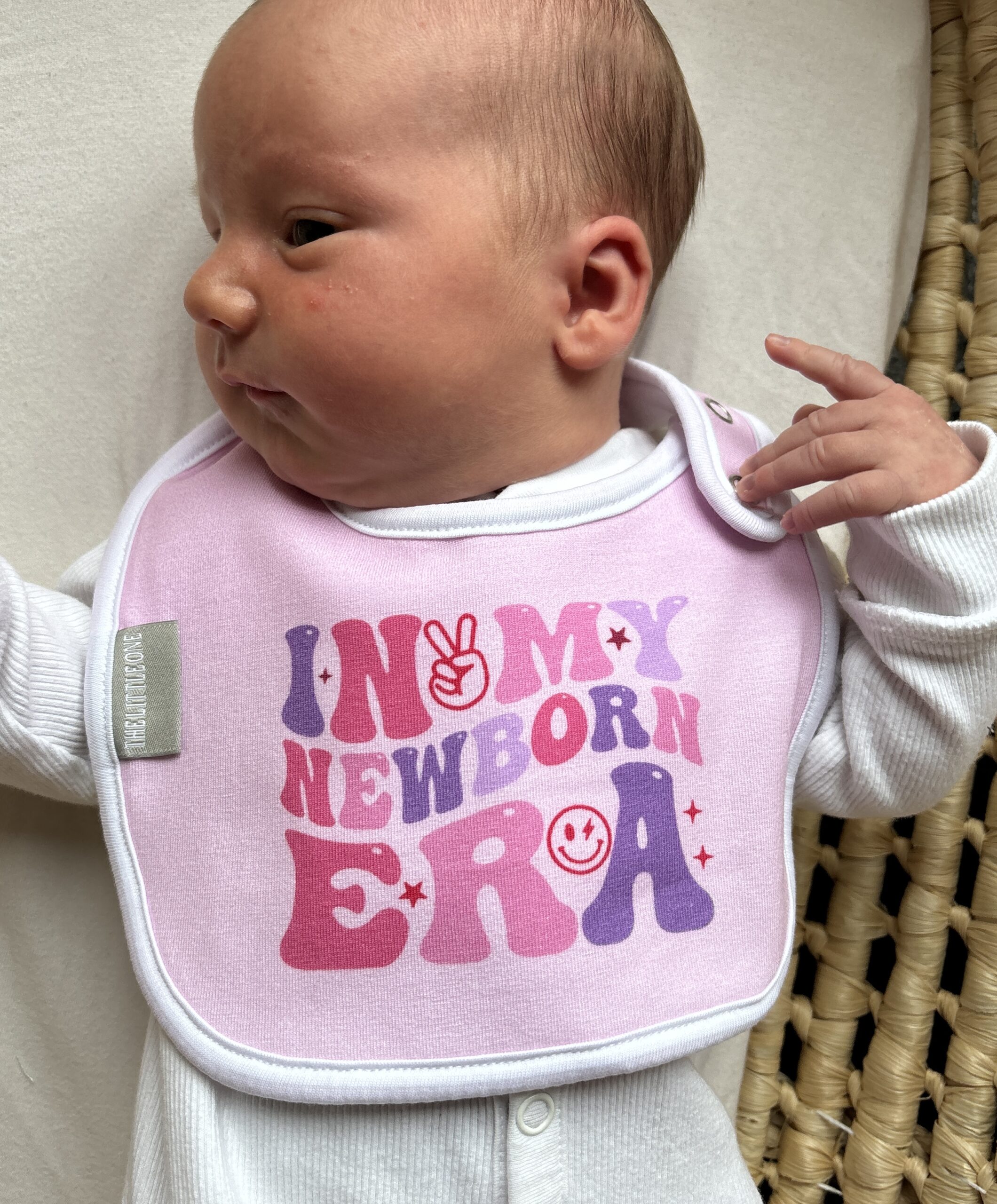 Round Bib | In My Newborn Era - Pink - The Little One